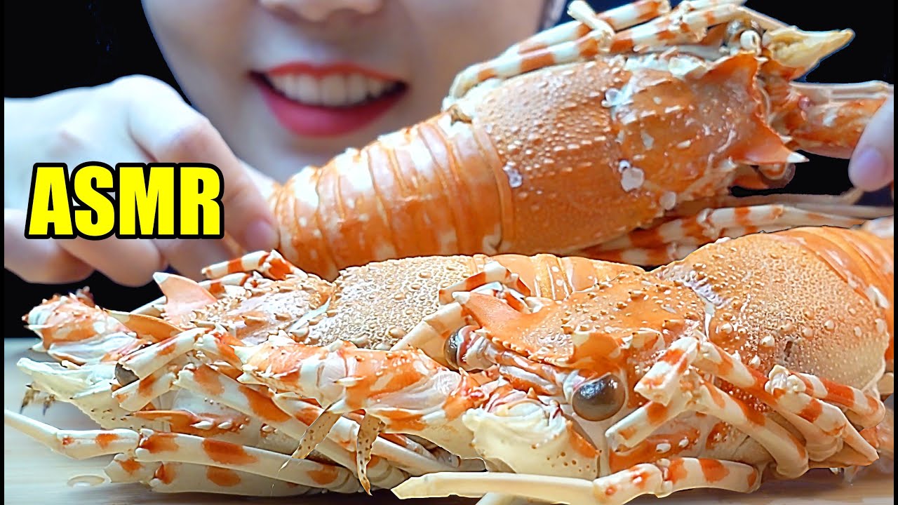 ASMR CRAYFISH NO TALKING (EATING SOUNDS) 크레이피쉬 먹방 | SOUP ASMR 숲자매 - YouTube