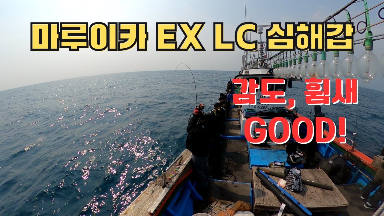 마루이카 EX LC 심해갑 사용기 감도, 휨새 GOOD! (feat.갑오징어, 한치) - YouTube