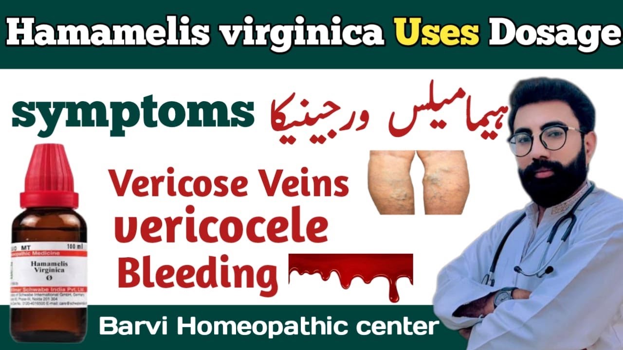 Hamamelis 30 homeopathic medicine|hamamelis q homeopathic medicine ...