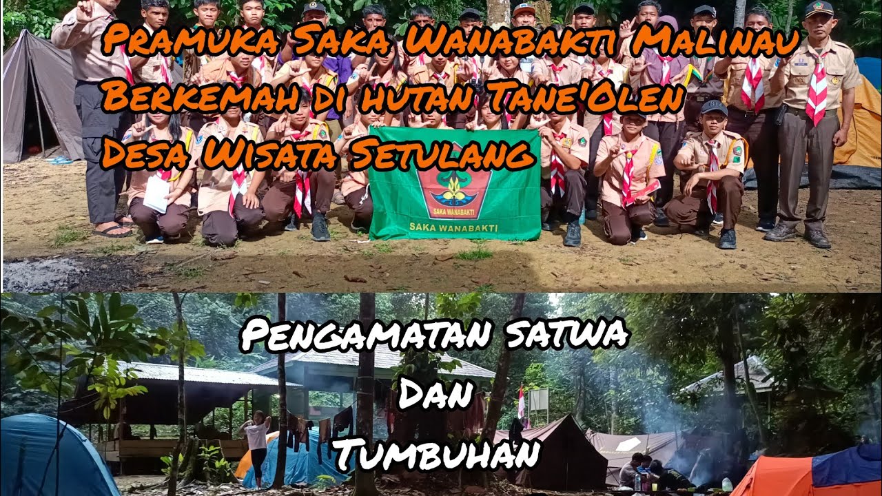 camping Pramuka Saka Wanabakti cabang Malinau di Hutan Tane' Olen Desa ...