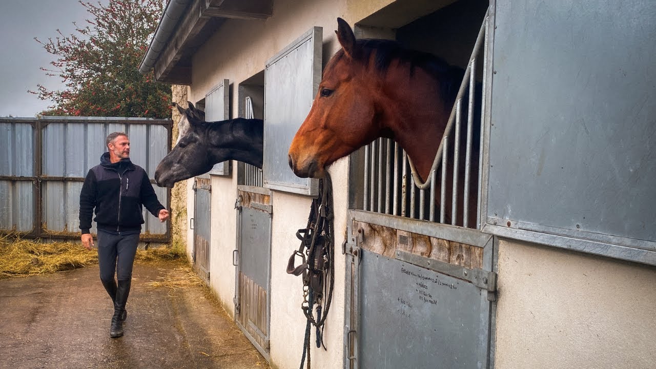Grégory Cottard, l'espoir de l'équitation française - YouTube