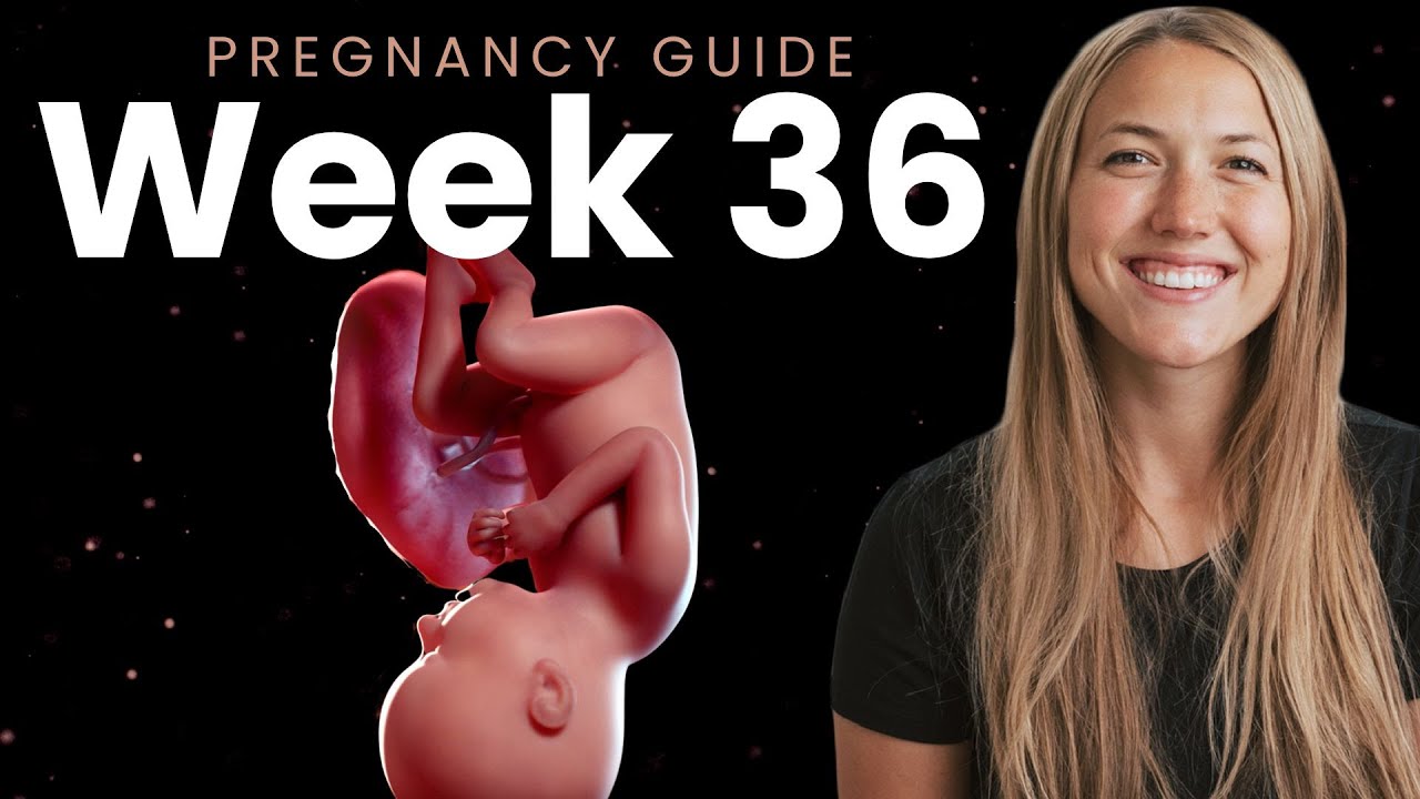 36 Weeks Pregnant | Week By Week Pregnancy - YouTube
