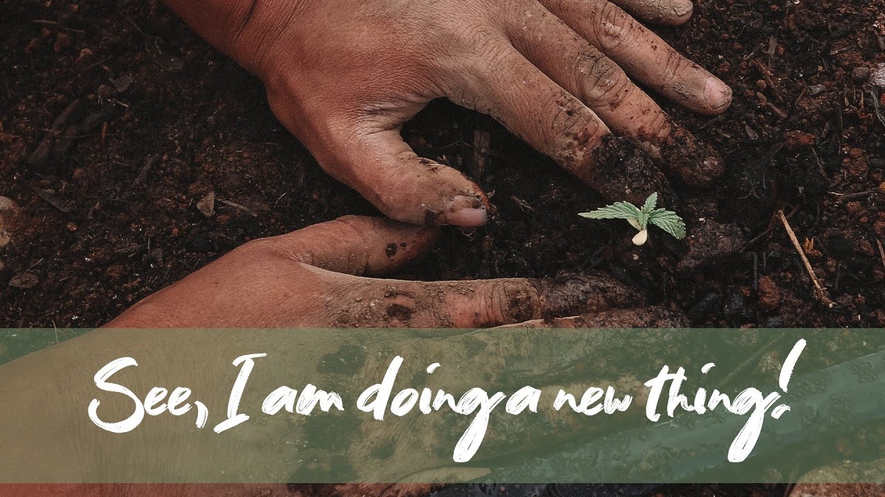 16th January 2022 Morning Service- Mark Fyfe - YouTube