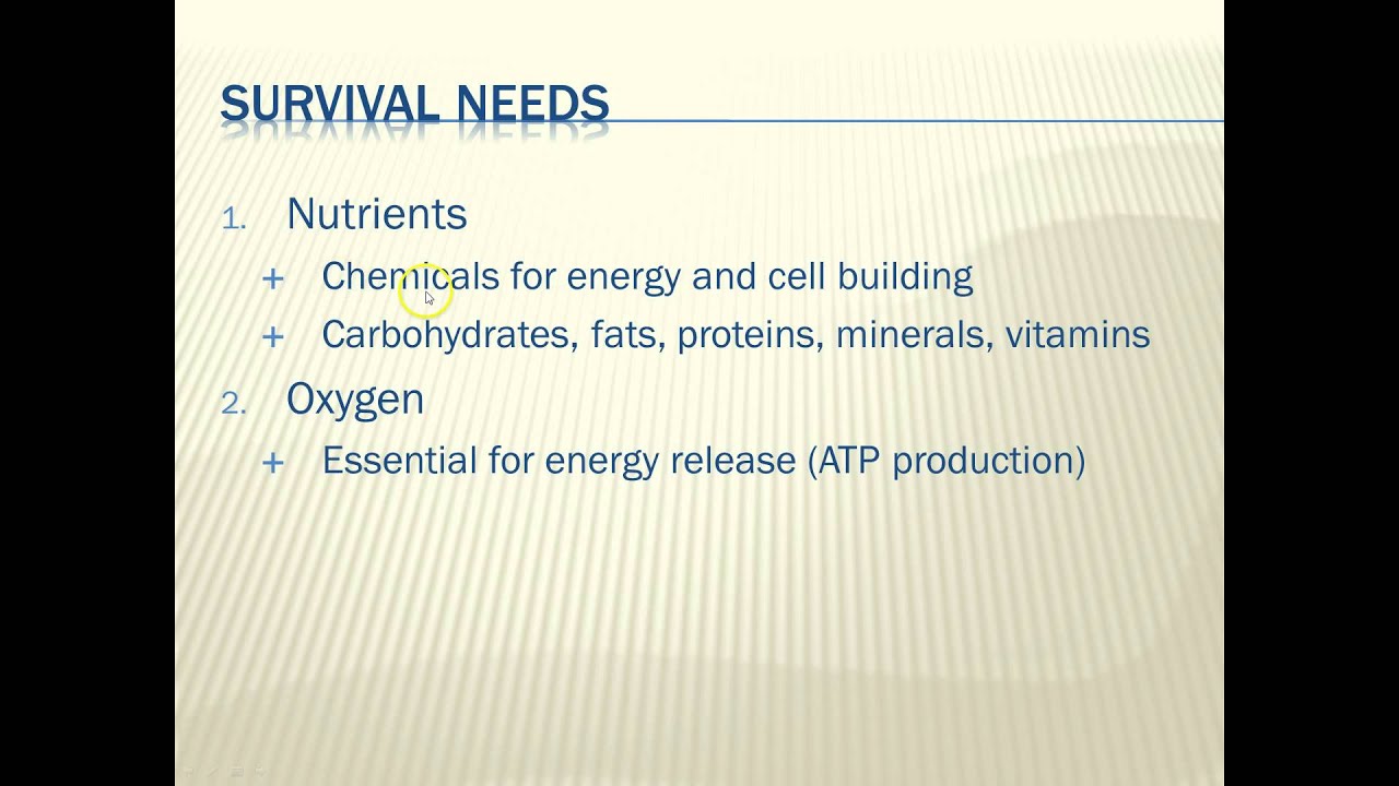 BIO 201 - UNIT 1 - Ch 1 - Lec 4 - Requirements of Life - YouTube