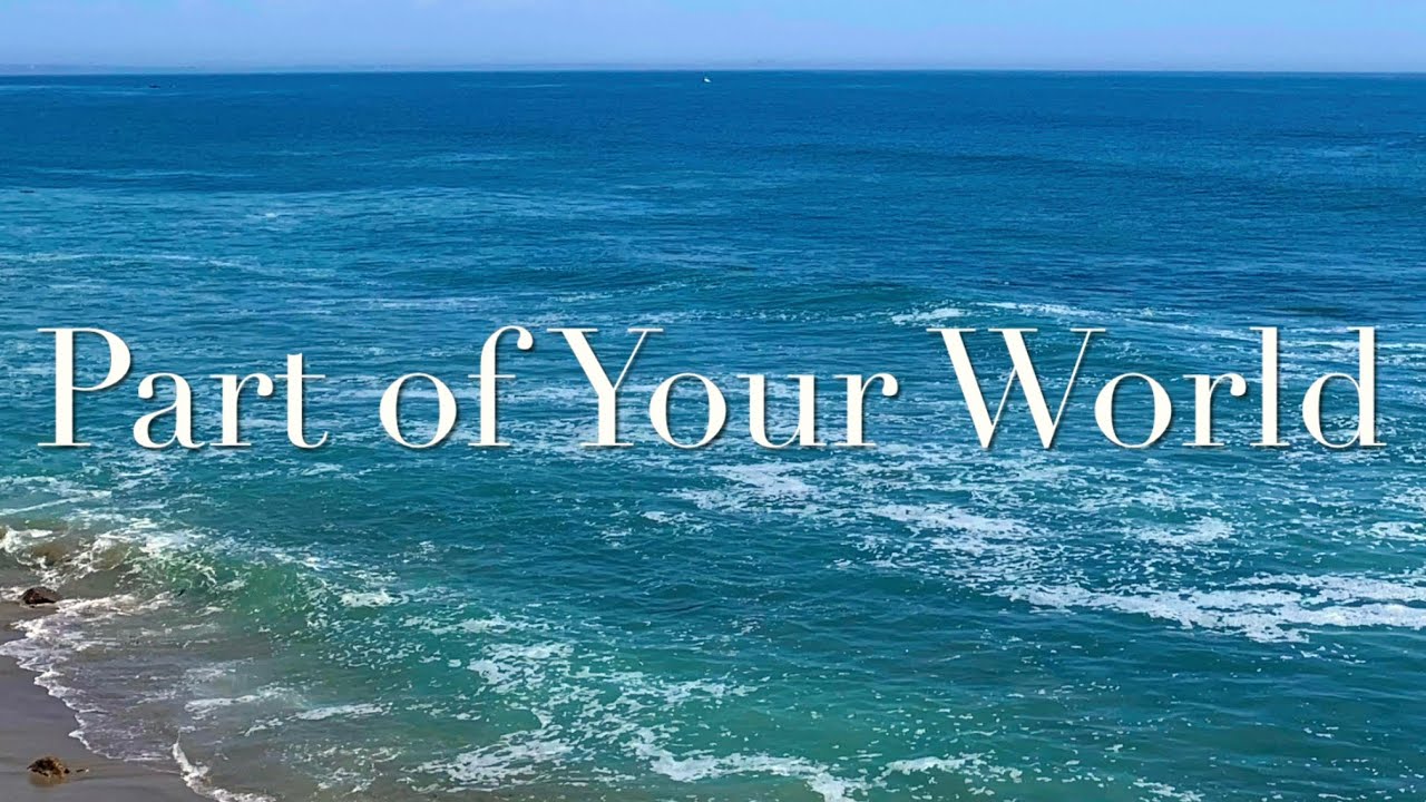 Part of Your World (Cover) - YouTube