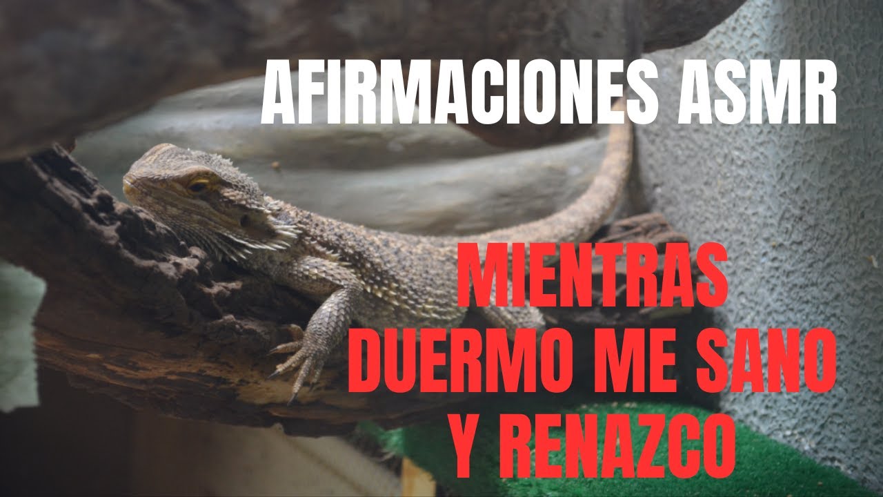 MIENTRAS DUERMO, todo MEJORA / AFIRMACIONES para DORMIR PROFUNDO - ASMR ...