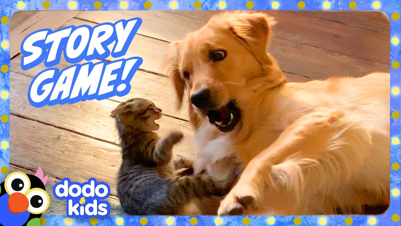 Play The Animal Story Game! What Will This Dog Do Next? | Dodo Kids ...