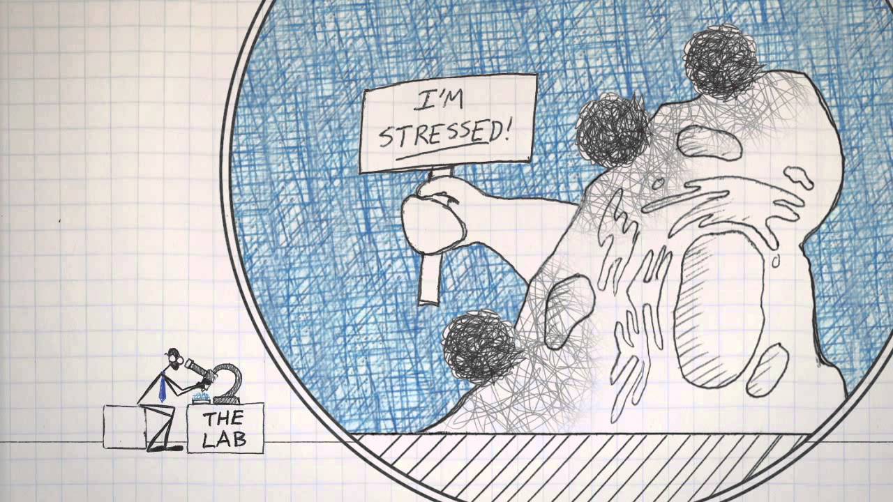 Lung In A Box: Testing Air Quality Anywhere - YouTube