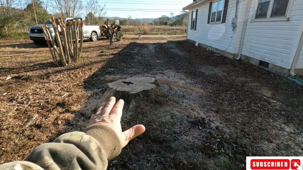 "Stump Grinding Depth Guide: Paving the Way for a Perfect Driveway ...