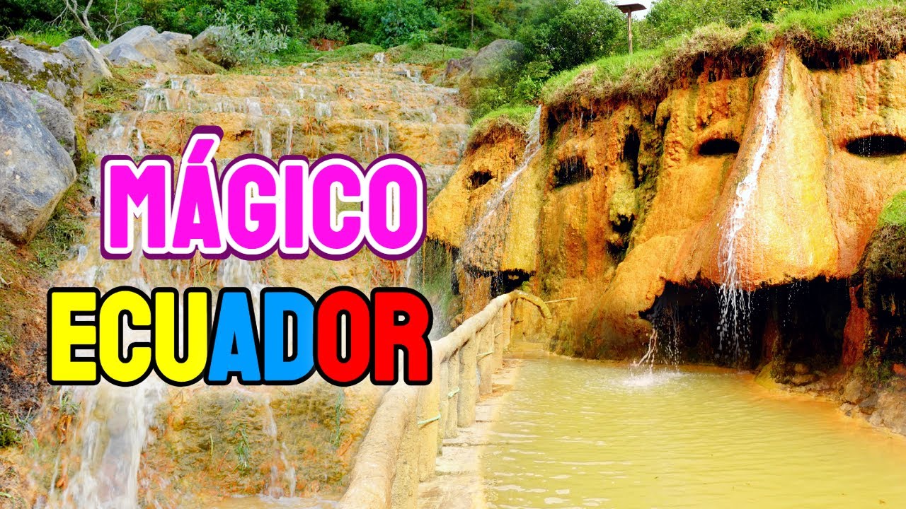 NUNCA HABÍA VISTO ALGO ASÍ | Wow! Todo es muy bonito - YouTube