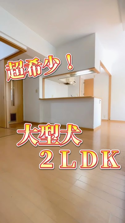 超希少‼️大型犬OKのペット可2LDKマンション お問い合わせ【HP】https://fukuoka-online-fudousan.com/【LINE】https://lin.ee ...