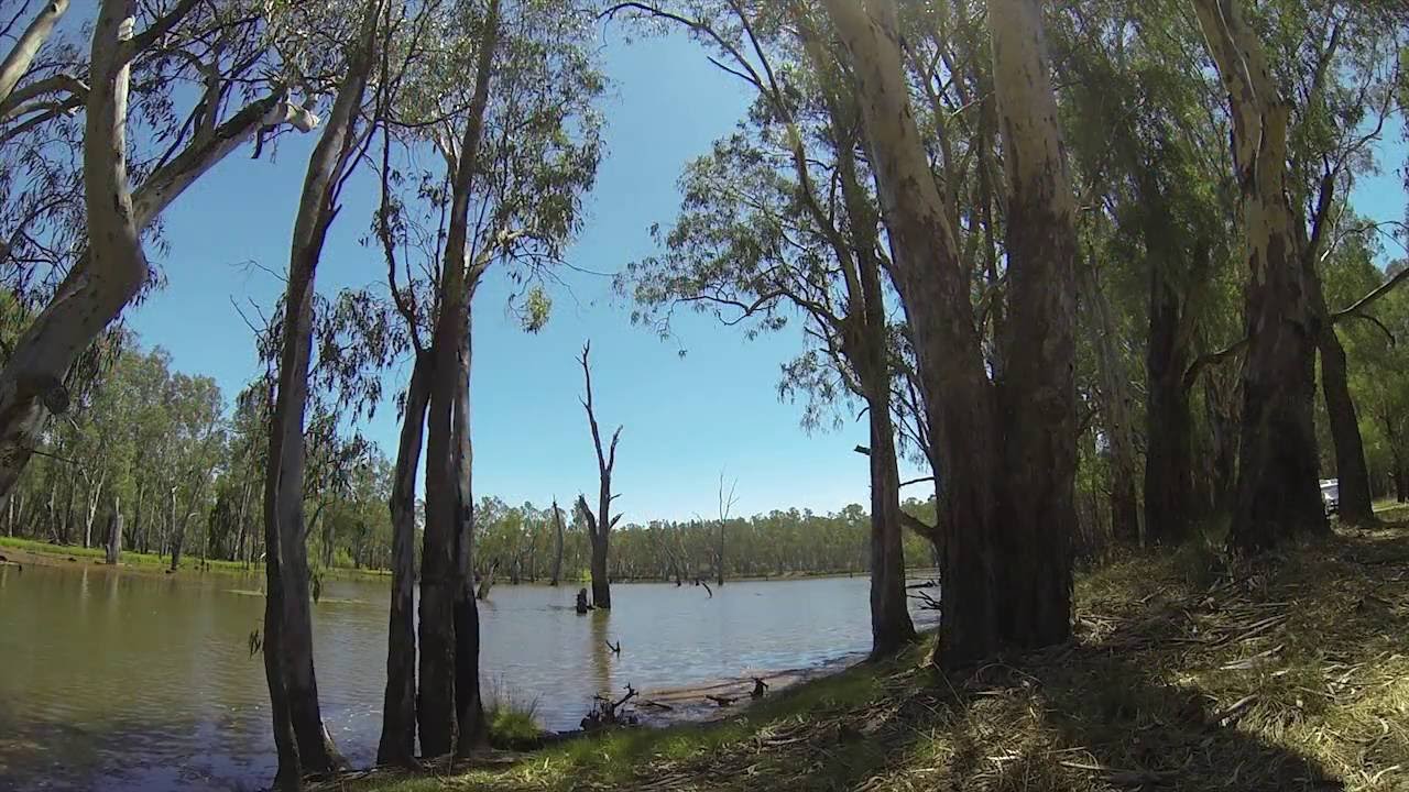 Lower Ovens Regional Park, Ovens River, East of Bundalong, VIC - YouTube