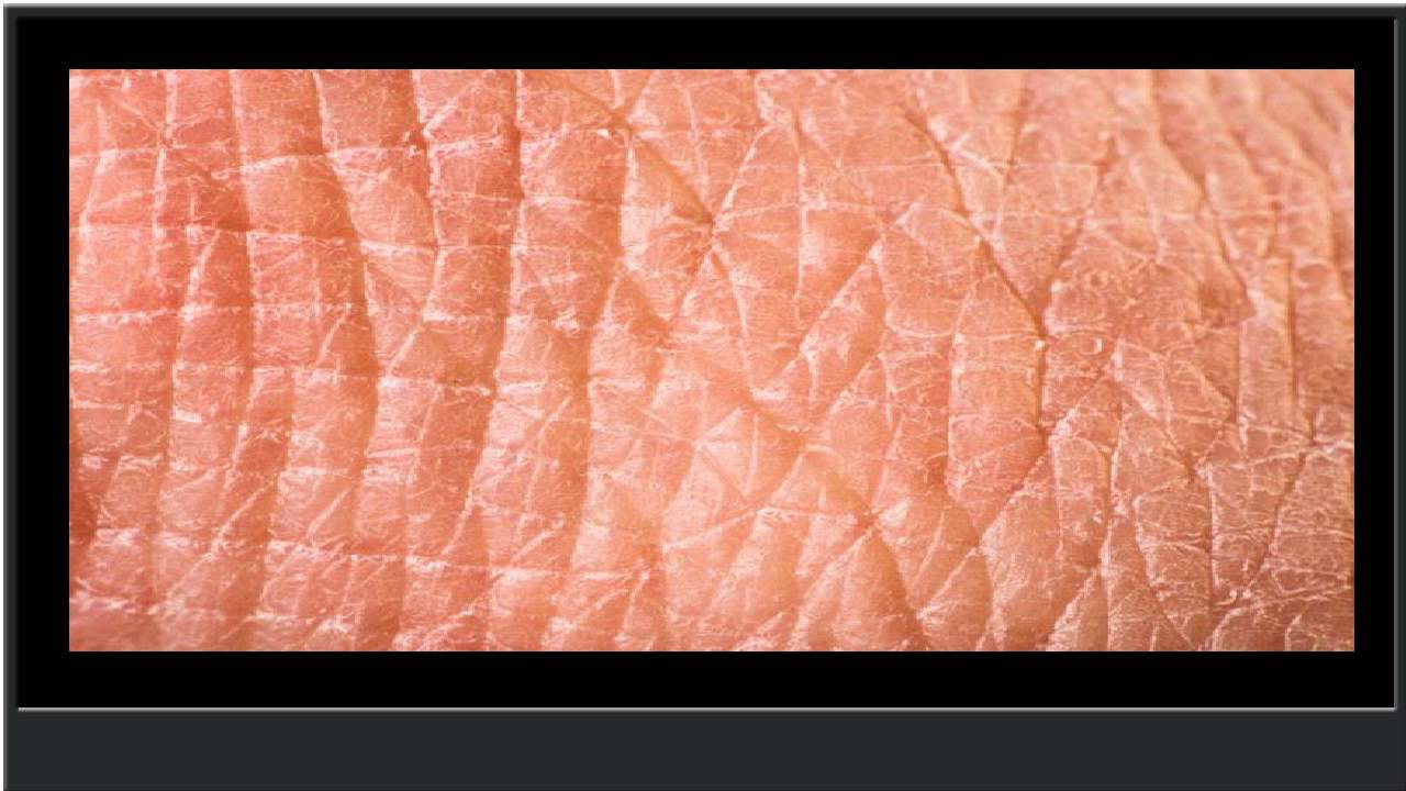 Skin layer grown from human stem cells could replace animals in ...