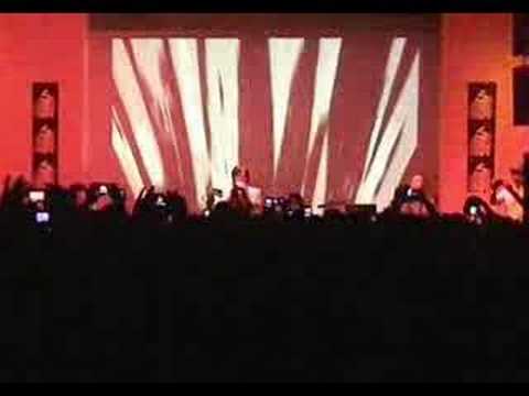 Silly Fools Mini Exclusive Live - YouTube