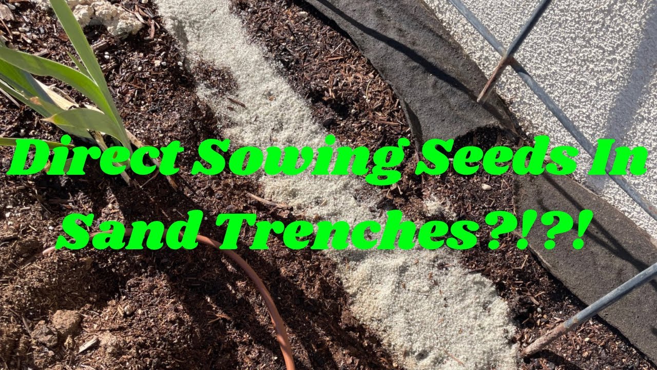 Making Sand Trenches To Direct Sow Seeds In My Raised Garden Bed - YouTube