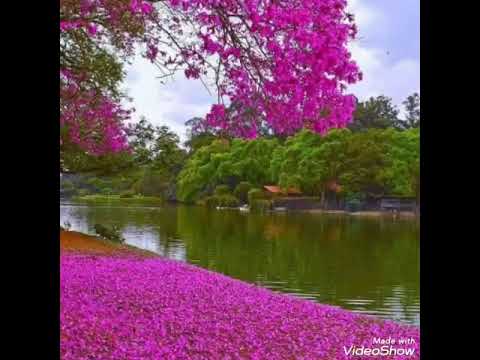 MEHMET BOZDOĞAN MUHTEŞEM YORUM MUHTEŞEM SES KARA SEVDA GELİP BENİMİ BULDUN