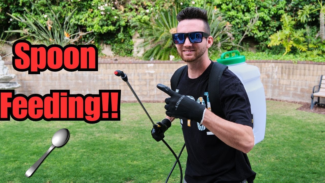 Let's Get The Lawns Looking Good! Spoon Feeding!! Applying More ...