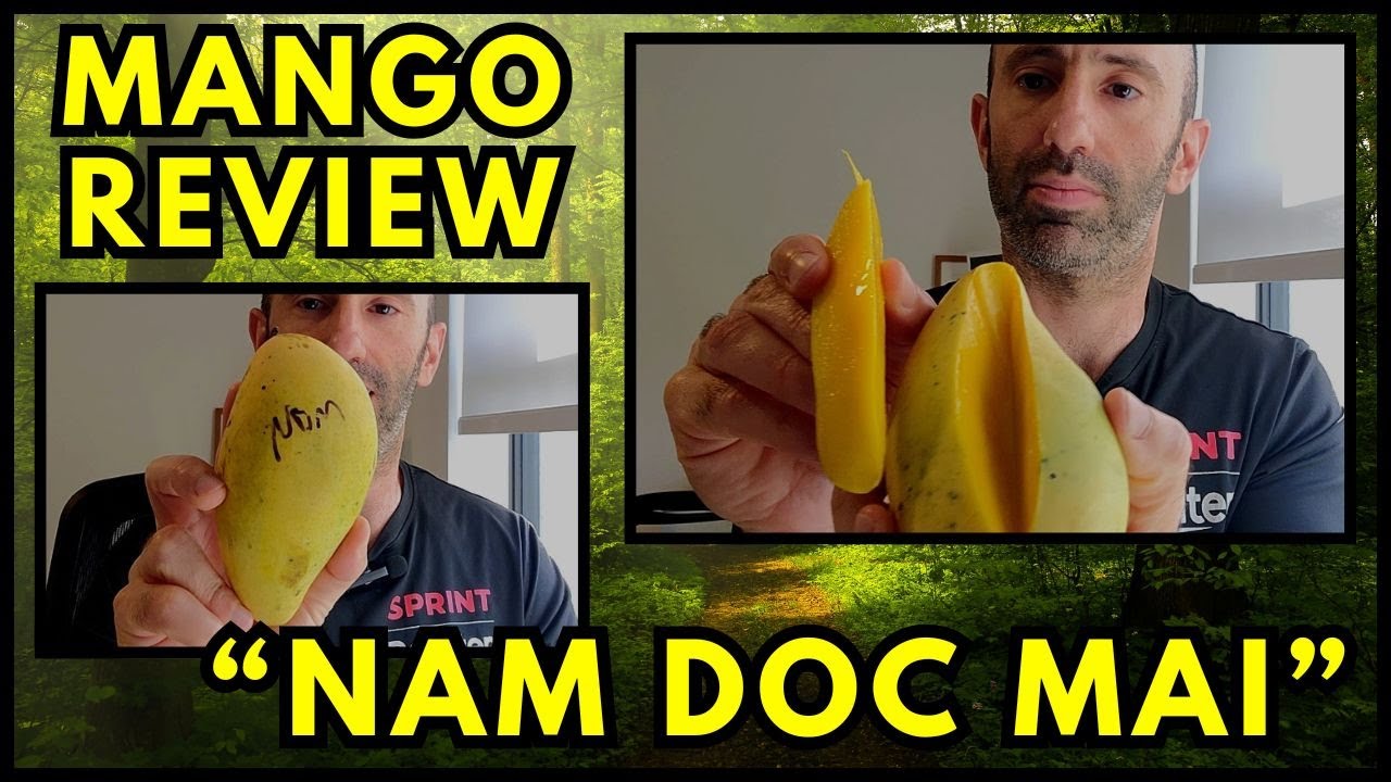 Mango Review: Nam Doc Mai! - YouTube