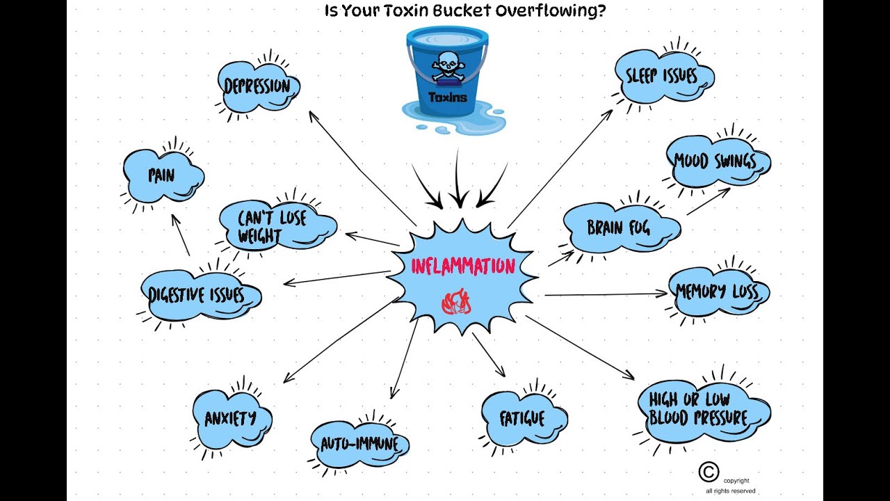Is your Toxin Bucket overflowing and how to stop it - YouTube
