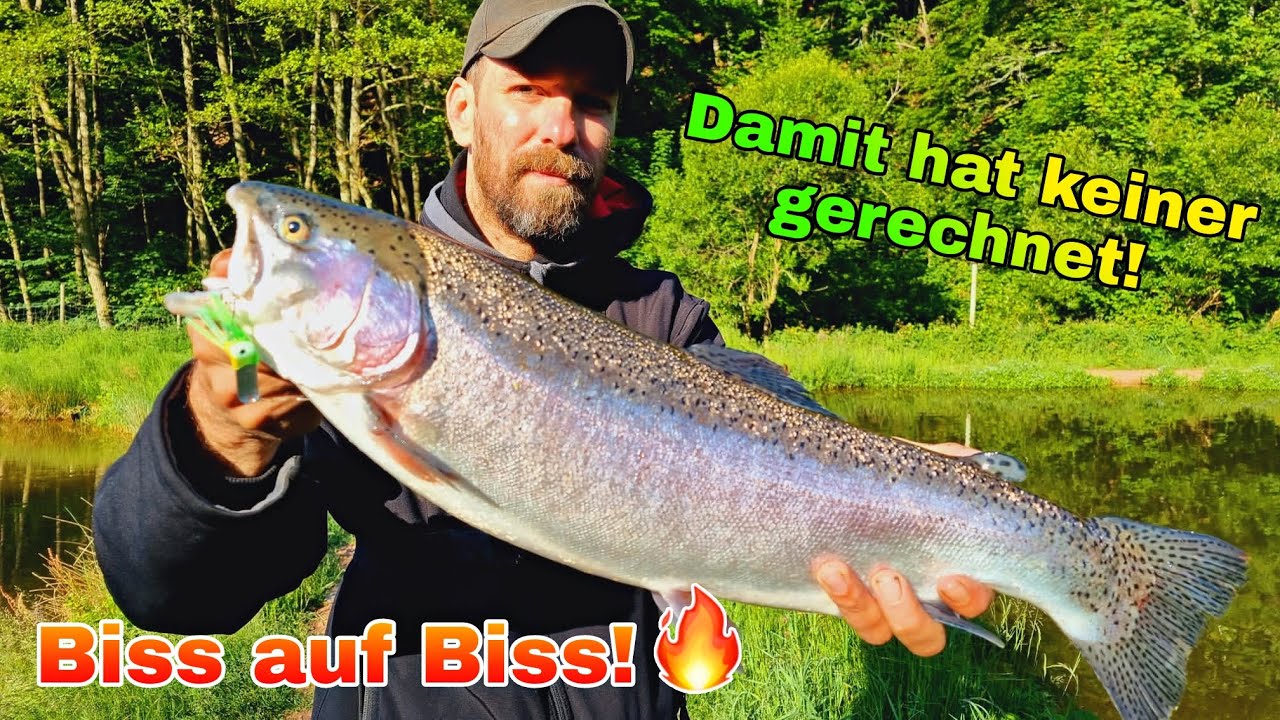 Biss auf Biss was geht da ab? - YouTube