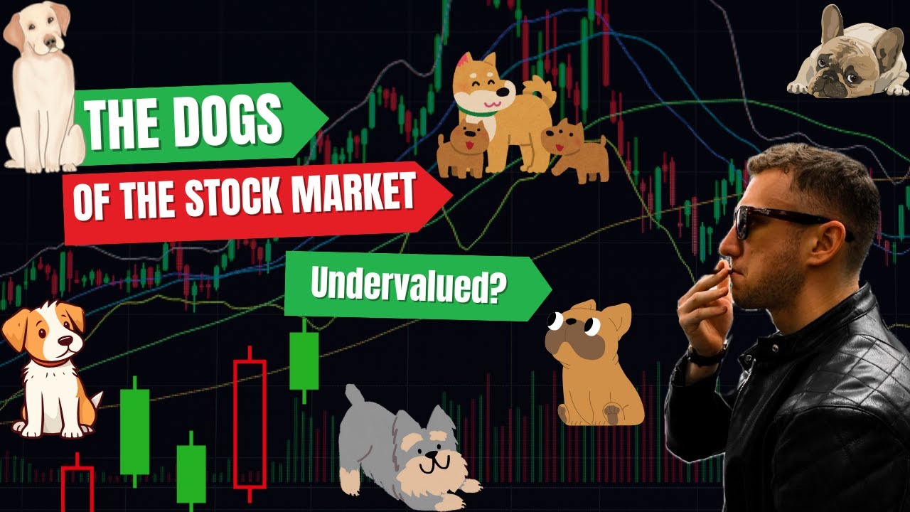 Undervalued Stock Market Dogs -- Will These Stocks Come Back and ...
