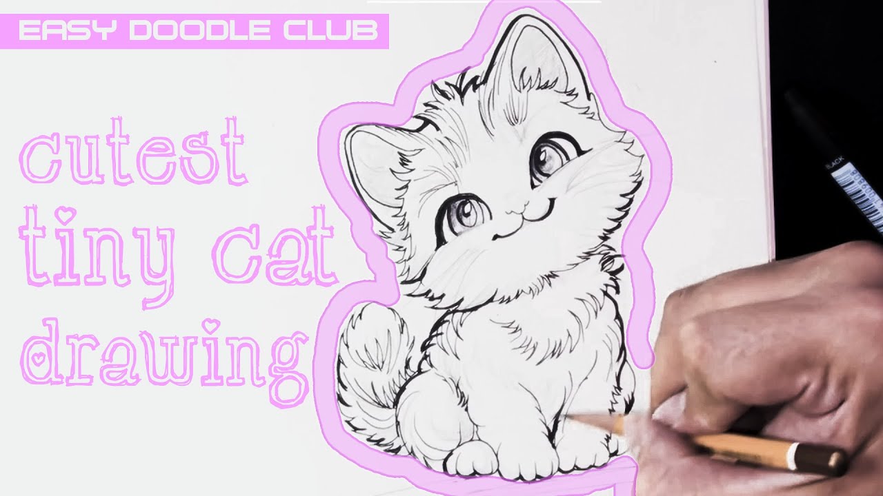 HOW TO DRAW CUTEST TINY CAT DRAWING - TUTORIAL - YouTube
