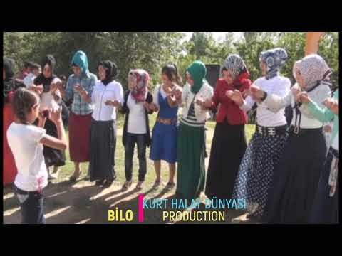 Cezmi ile sibel'in düğünü