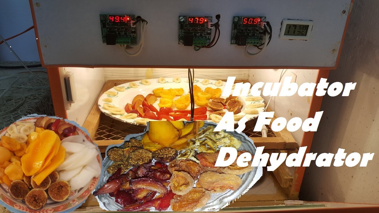 How to use incubator as food dehydrator - Home made Food Dehydrator ...