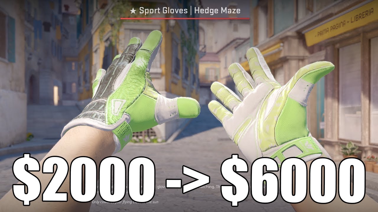 THE CS MARKET JUST HIT ALL TIME HIGHS - WHAT SHOULD YOU DO? - YouTube