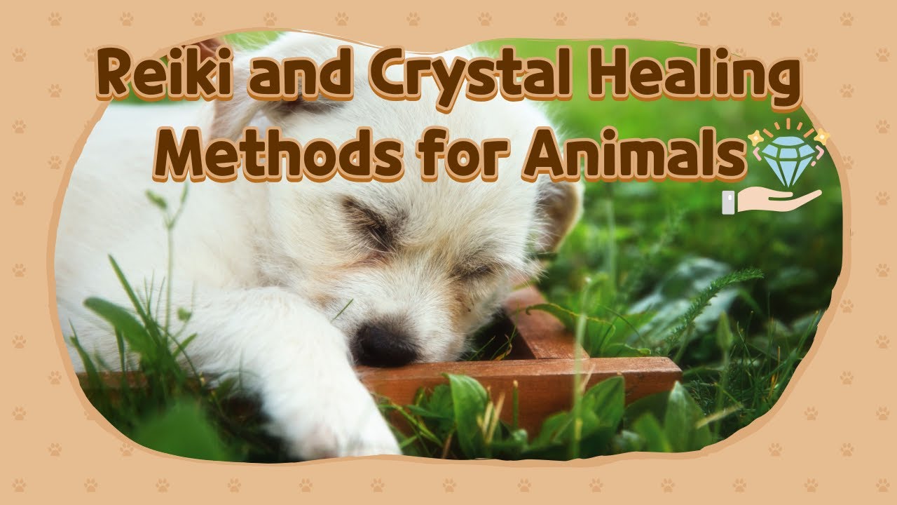 Animal Reiki Healing: Reiki and Crystal Healing Methods for Animals ...