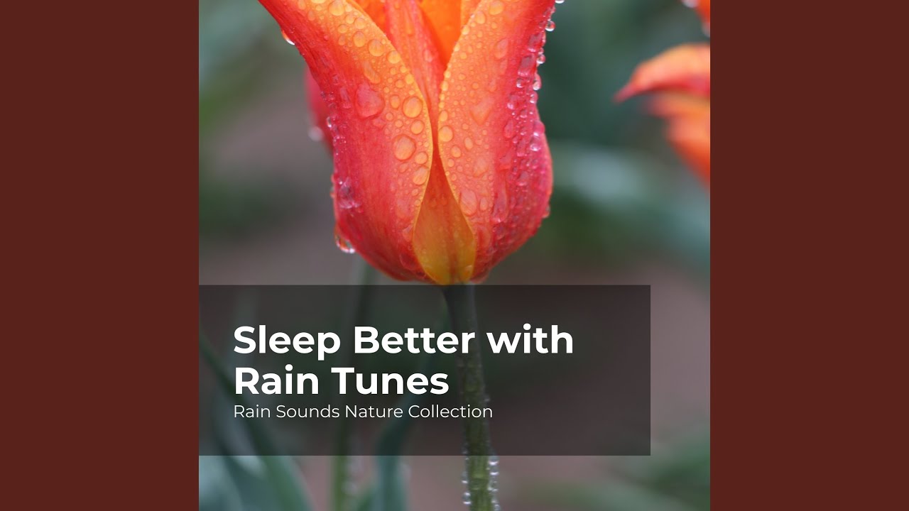 Sleeping While Raining - YouTube