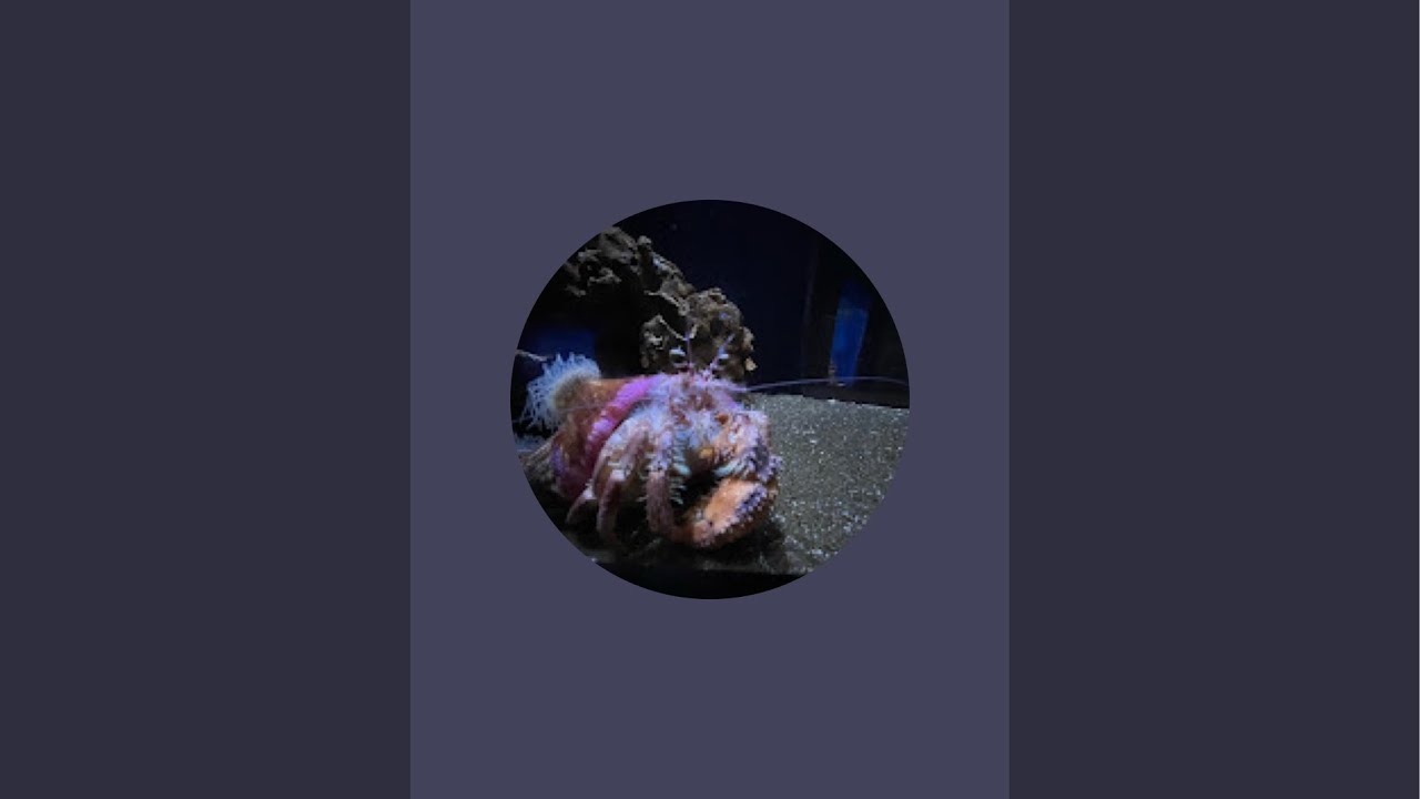 I DID IT 7/7 - YouTube