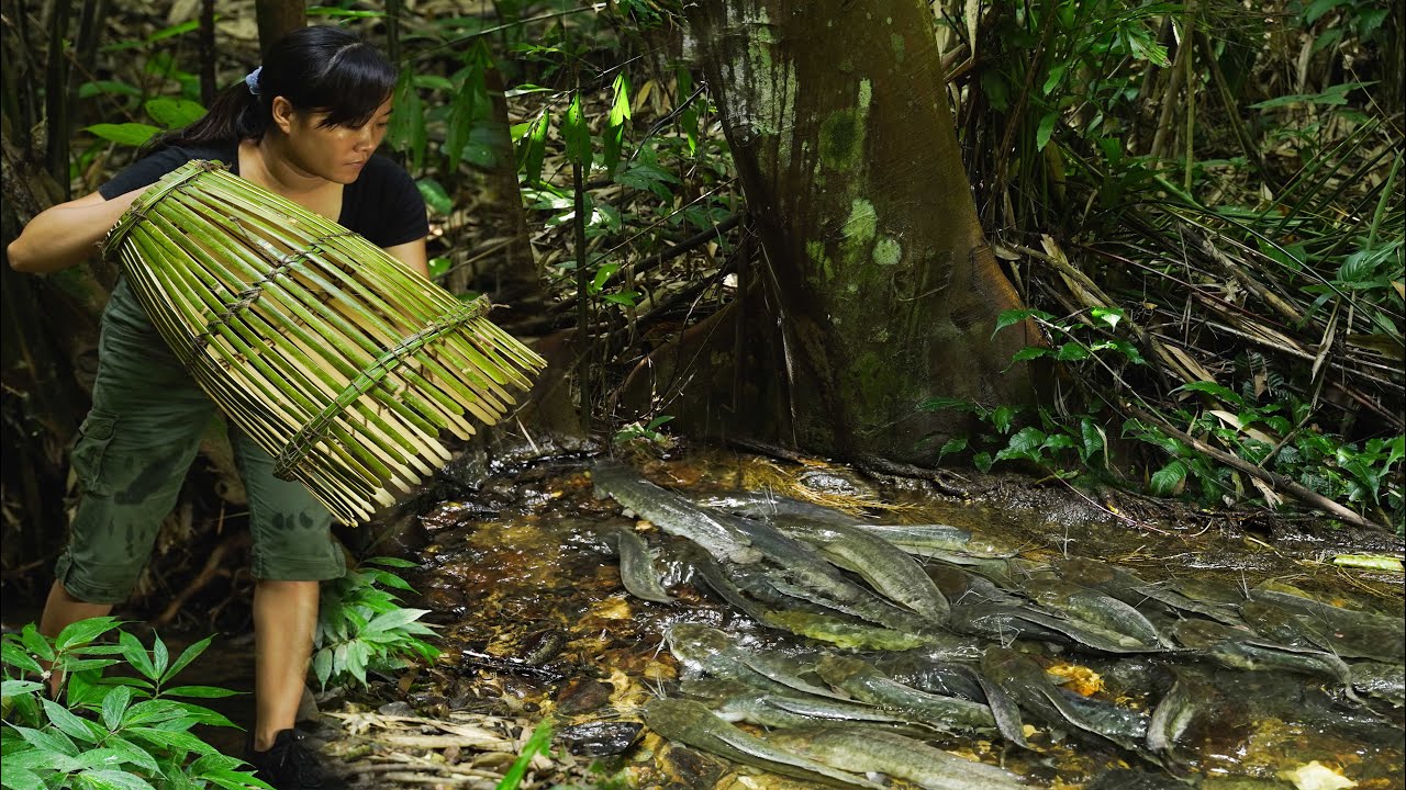 Surprise: Fish Trap Techniques Using Ancient Methods- A lucky Day ...
