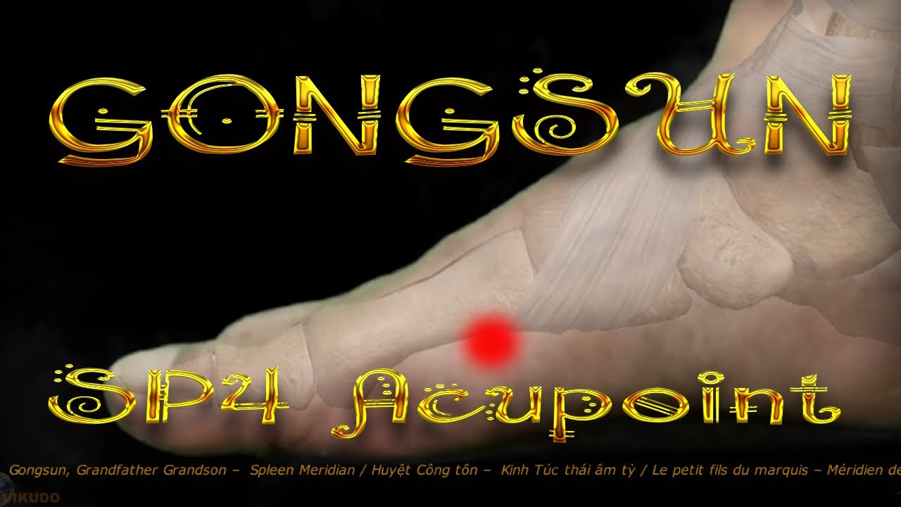 SP4 | Gongsun Acupoint | Grandfather Grandson Acupoint | Spleen ...