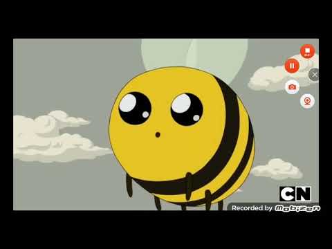 adventure time bee nooooo - YouTube