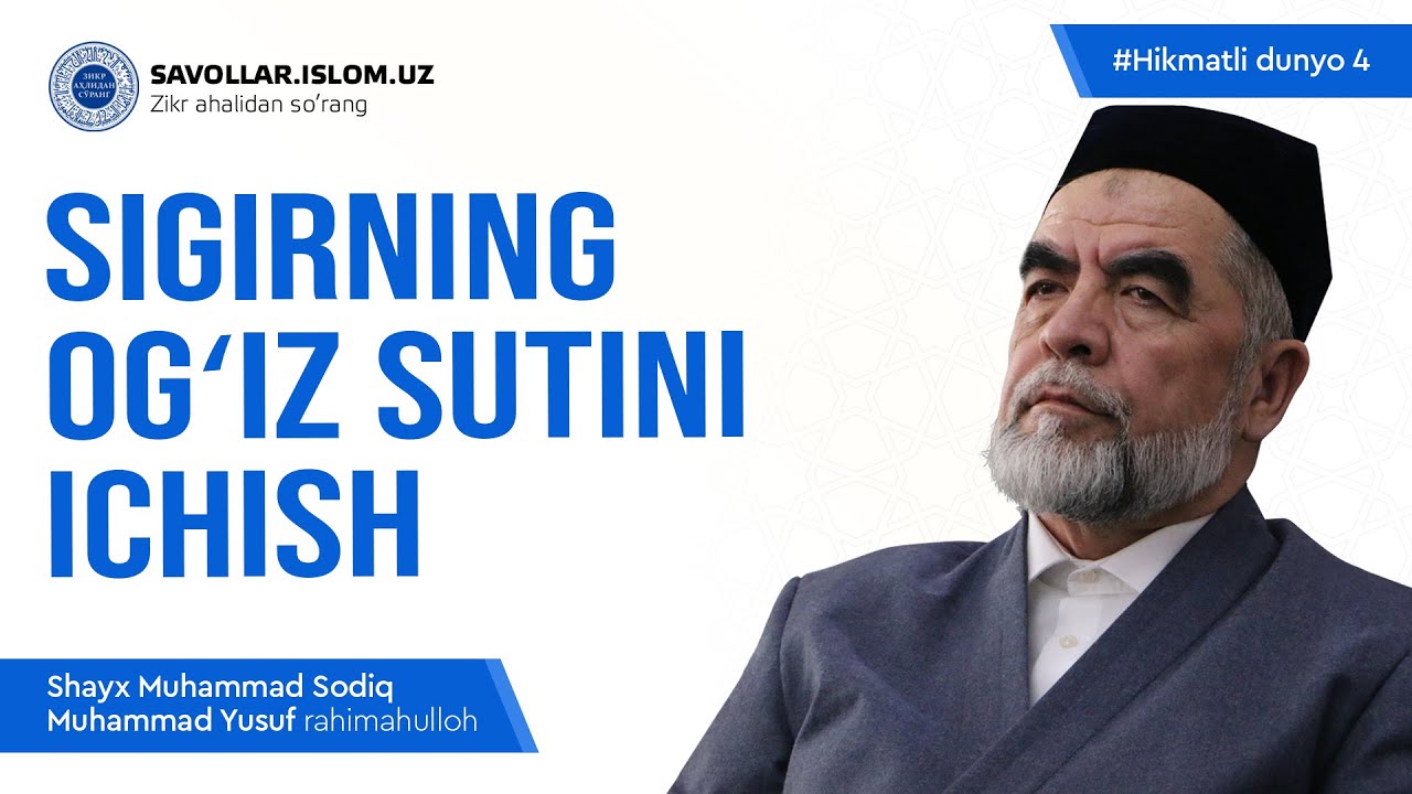Sigirning ogʻiz sutini ichish | Hikmatli dunyo - YouTube