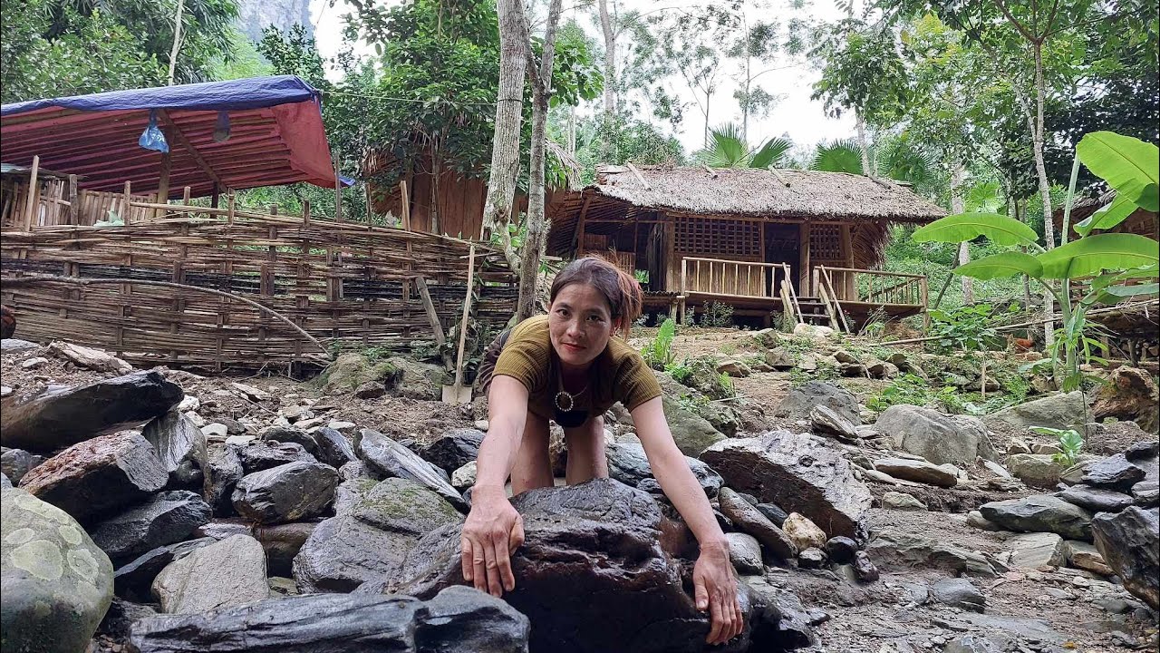 Build a stone embankment near the stream - Green forest life, free ...