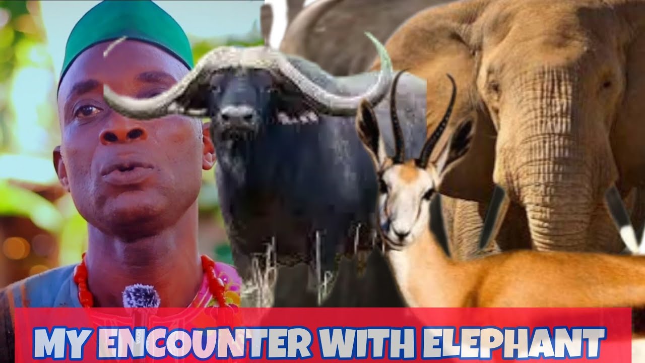 CHRONICLES YORUBA HUNTER ATTACKED BY SHAKE IN THE BUSH... - YouTube