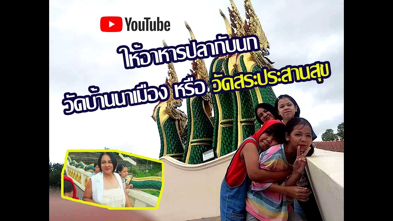 1 สิงหาคม 2563 ให้อาหารปลา นก| Dong Adithep Family - YouTube