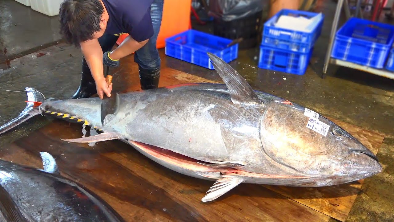How to Perfectly Cut a Whole Giant Bluefin Tuna for Sashimi! - YouTube