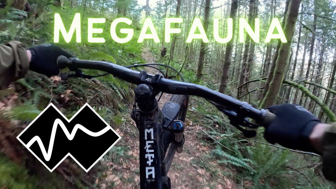 First time riding "Megafauna" at Tiger Mountain! - YouTube