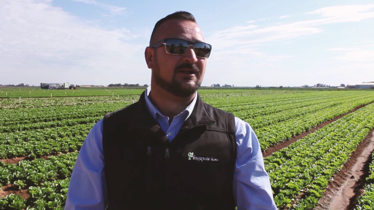 Andrew Fragapane, Fragapane Farms - Winner R&D Adoption Award 2017 ...