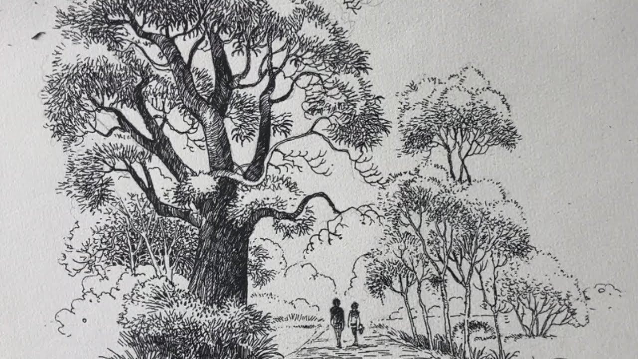 "Peaceful Nature Walk Sketch" - YouTube