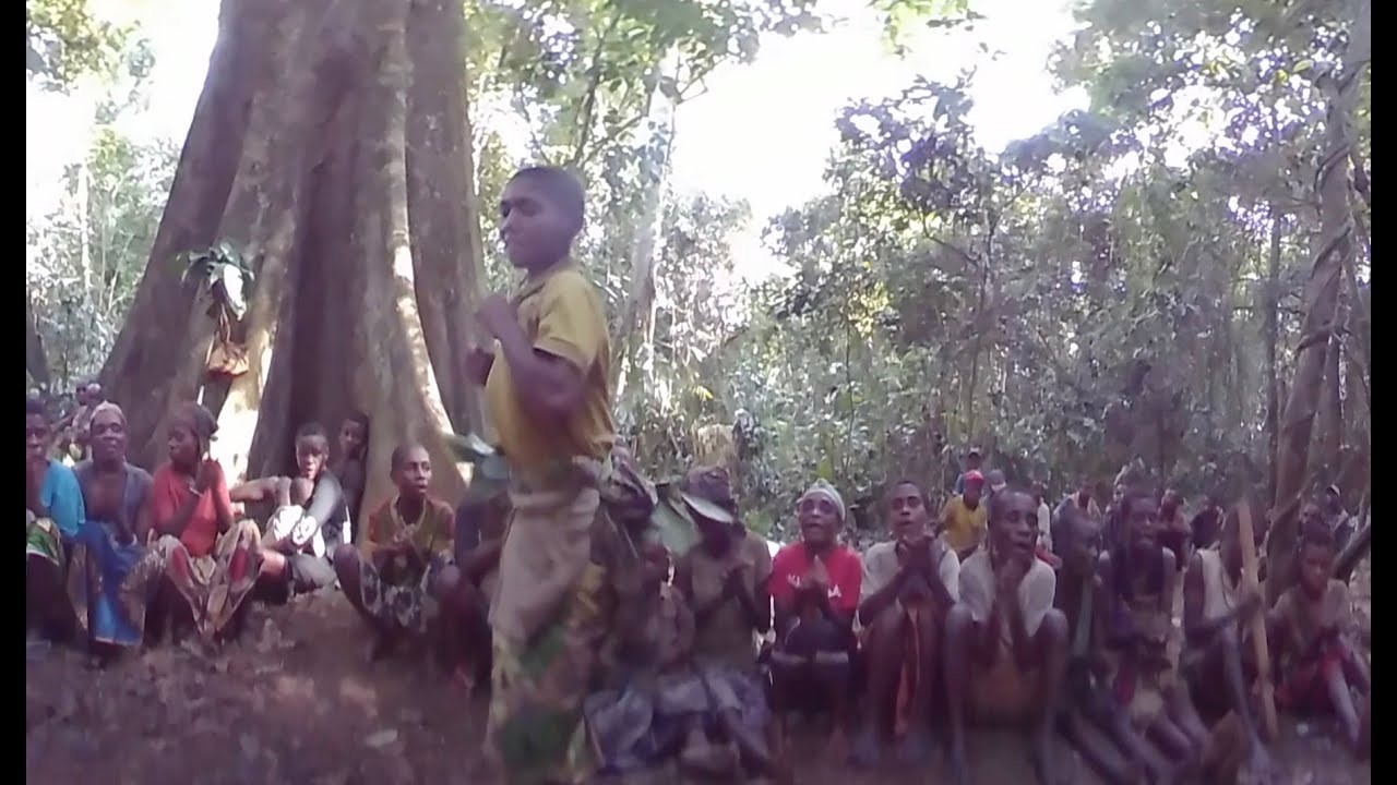 Welcome to the Rainforest in 360º - Baka women sing "Yelli" - YouTube