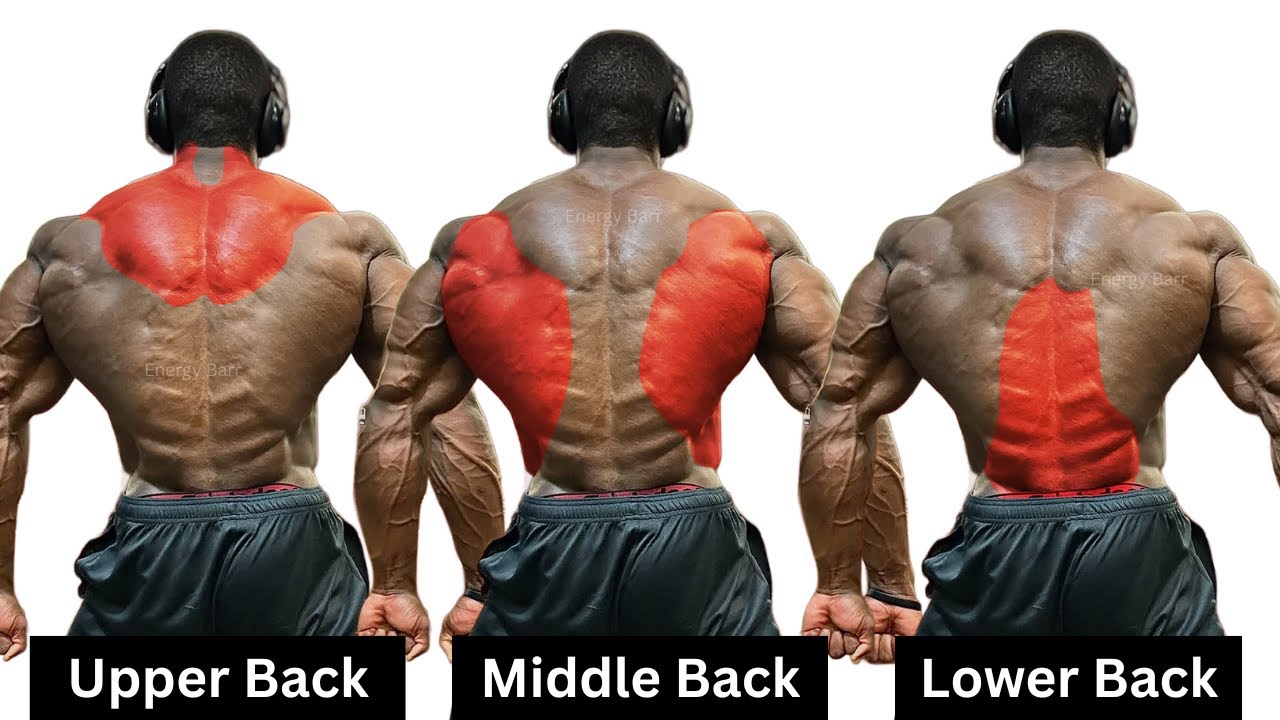 HOW TO GROW YOUR BACK BIGGER AND WIDER | FOLLOW THESE EXERCISES - YouTube