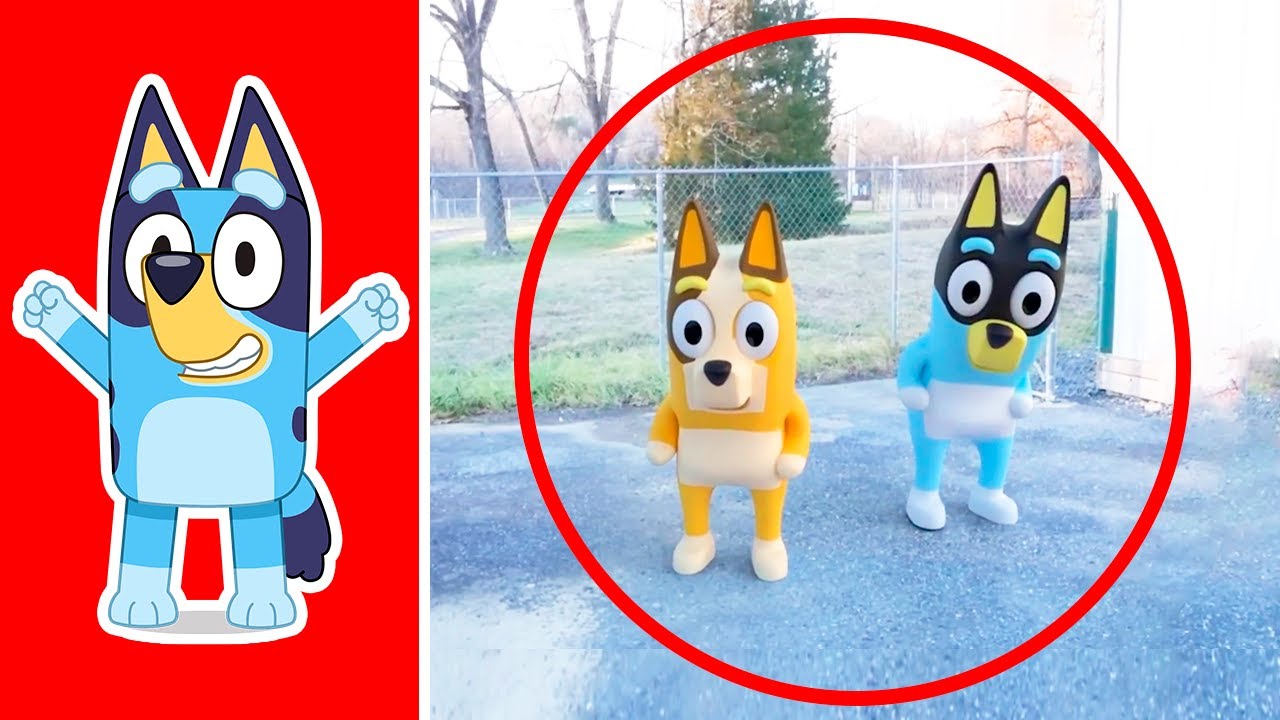 10 BLUEY En La Vida Real [Bluey CAPTADO EN CAMARA] - YouTube