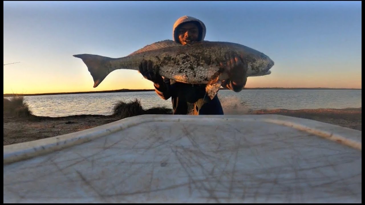 I CAUGHT a TRUE MONSTER FISH on a BASS ROD!(BIG FISH) - YouTube