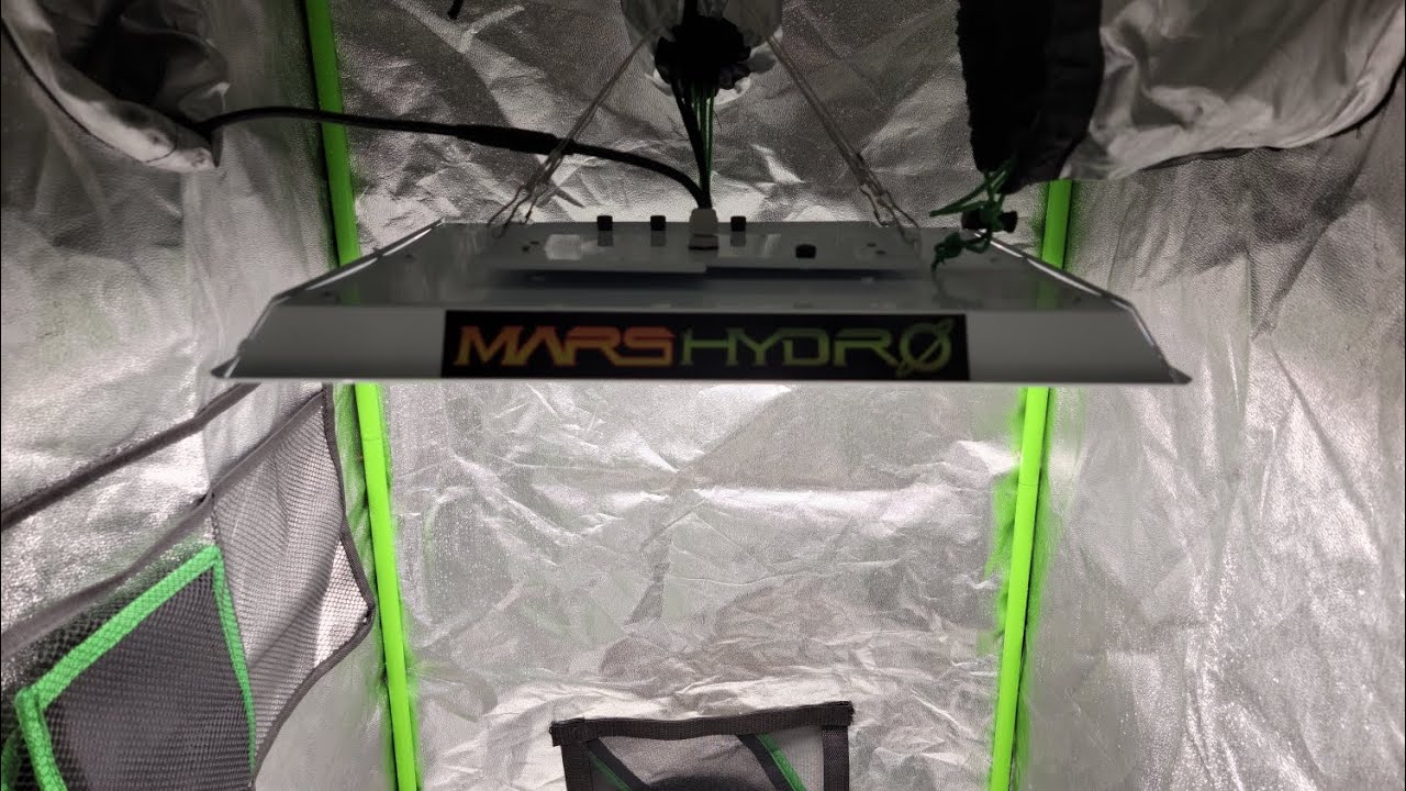 Mars Hydro TS1000 updated 2022 model BEST LED GROW LIGHT UNDER $100 ...