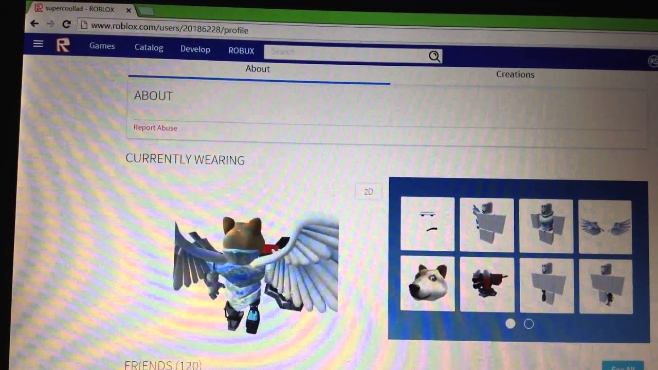 Roblox profile 1 - YouTube