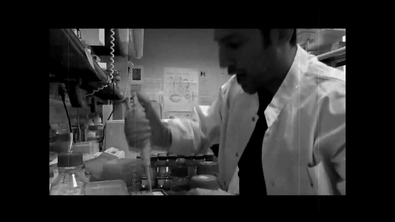 The hard life of a PhD student - YouTube